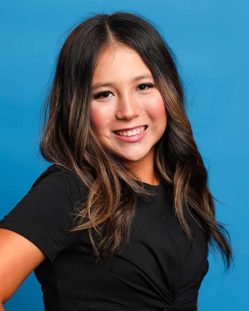 Vibe Company - Hollywood Vibe